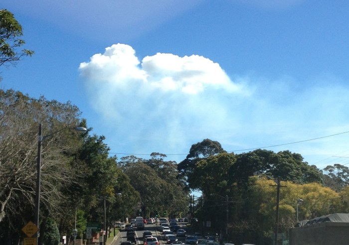Pyrocumulus in Sydney – Australian Climate Madness